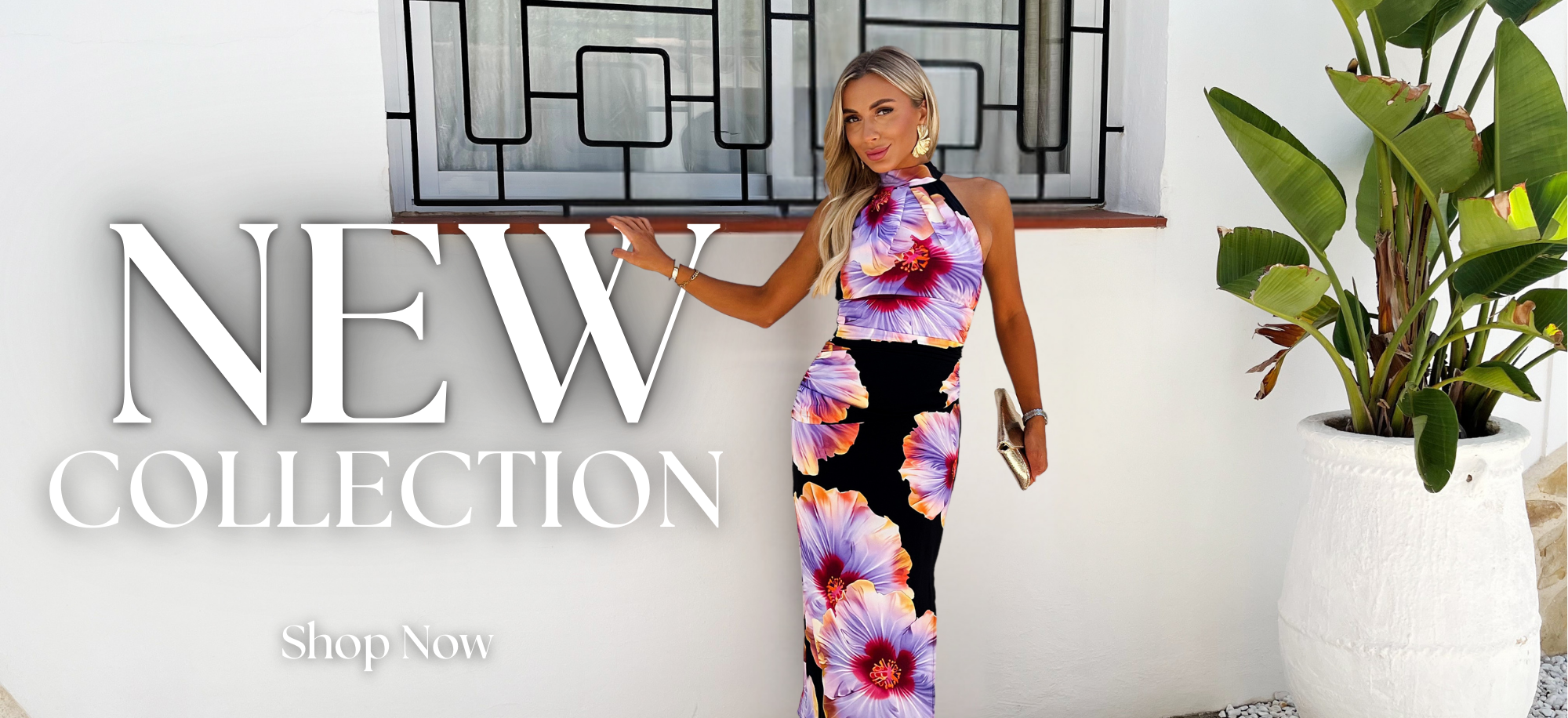Womens Dresses | Womens Clothing | Celebrity Fashion | AX Paris